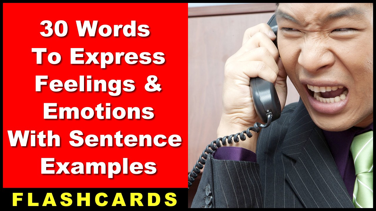 Essential Survival Chinese Sentences Presented in Video and Flashcards