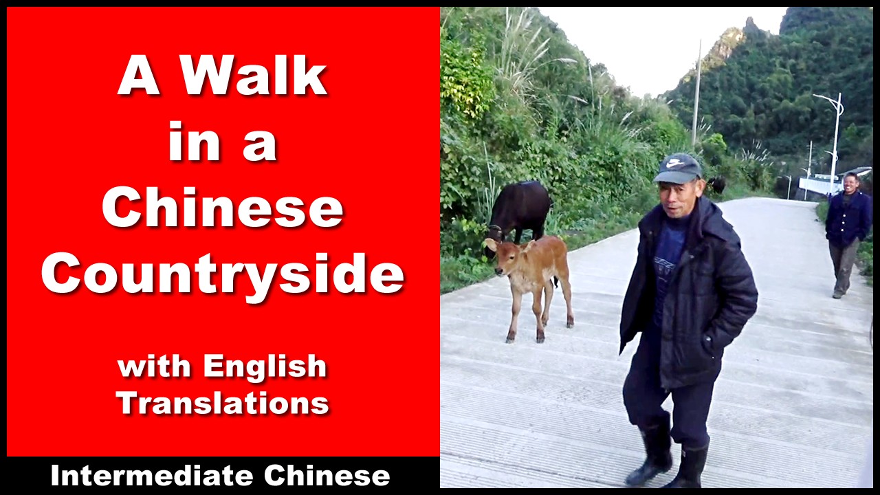 Walk Around